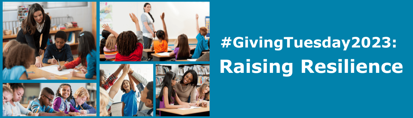 DONATE - Resilience Across Borders